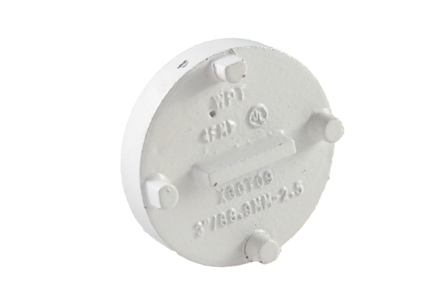 כפה מחורצת "2 לבן VICTAULIC UL/FM